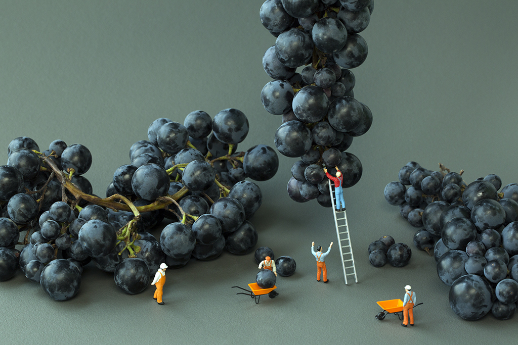 Big Appetites With Miniature Toys Photographs (Christopher Boffoli ...